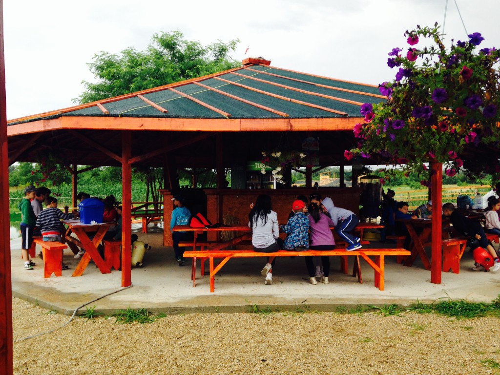 Pavilionul din curtea scolii - lectii nonformale in aer liber ...